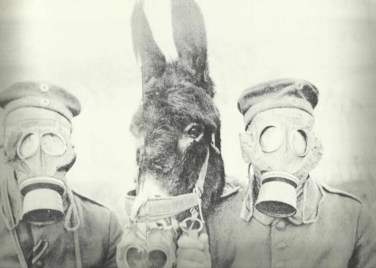 Diary July 10, 1917 > WW2 Weapons