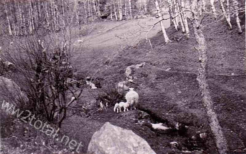 11-Landscapes in Norway – WW2 Weapons
