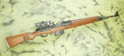 Gewehr (rifle) 43 > WW2 Weapons